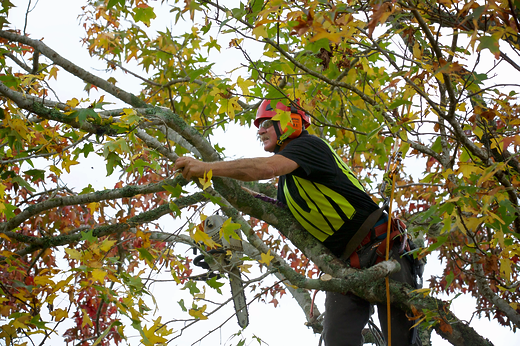 Atawhai Industries Services